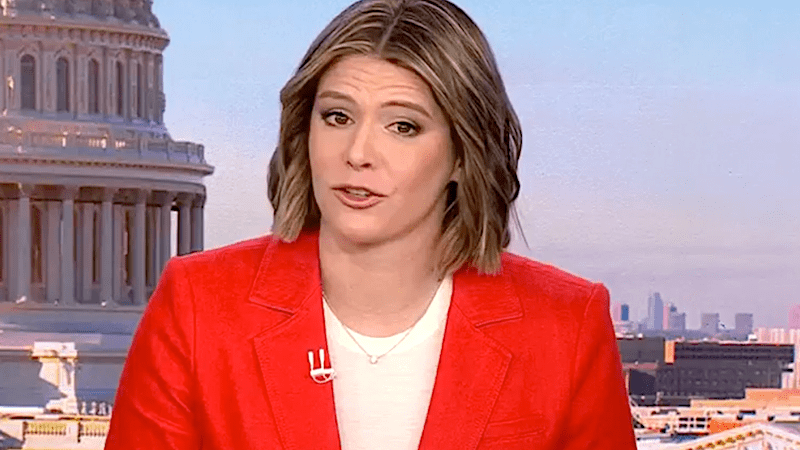 'Okay': CNN host laughs at conservative for downplaying Elon Musk's ...