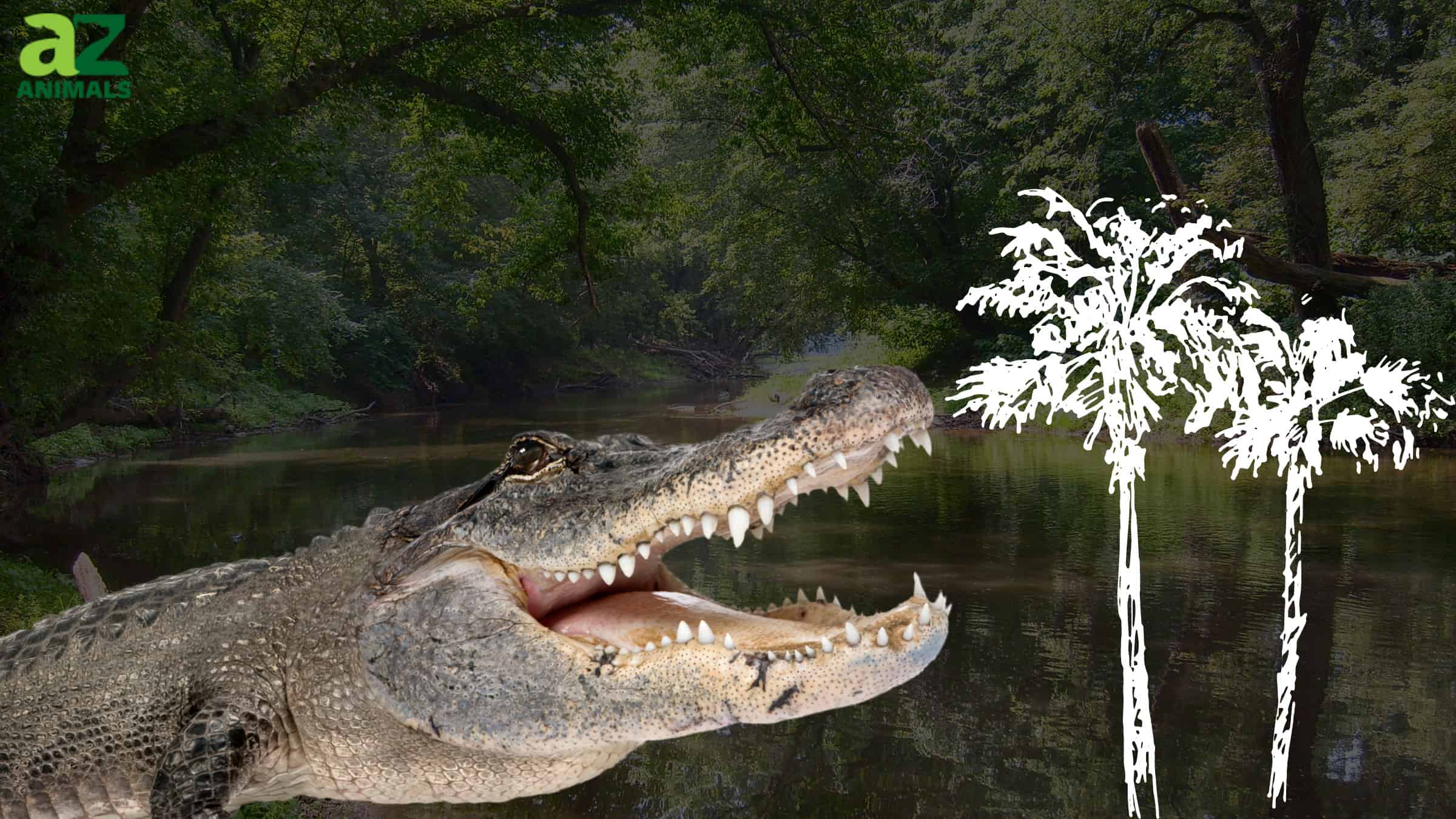 The Most Terrifying Creatures in the United States