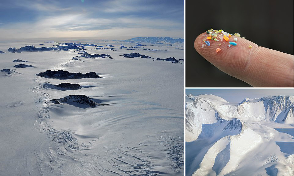 Scientists discover microplastics in Antarctica's most remote regions Scientists discover microplastics in Antarctica's most remote regions