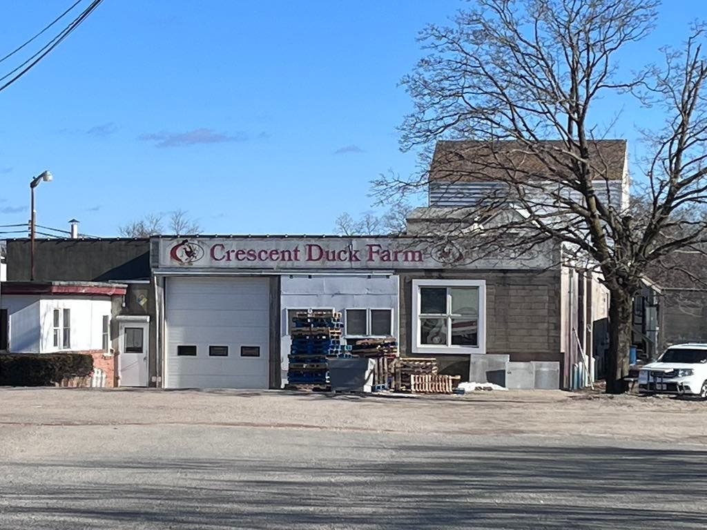 Temporary Closure Of Live Bird Markets Aims To Stop Avian Flu Spread