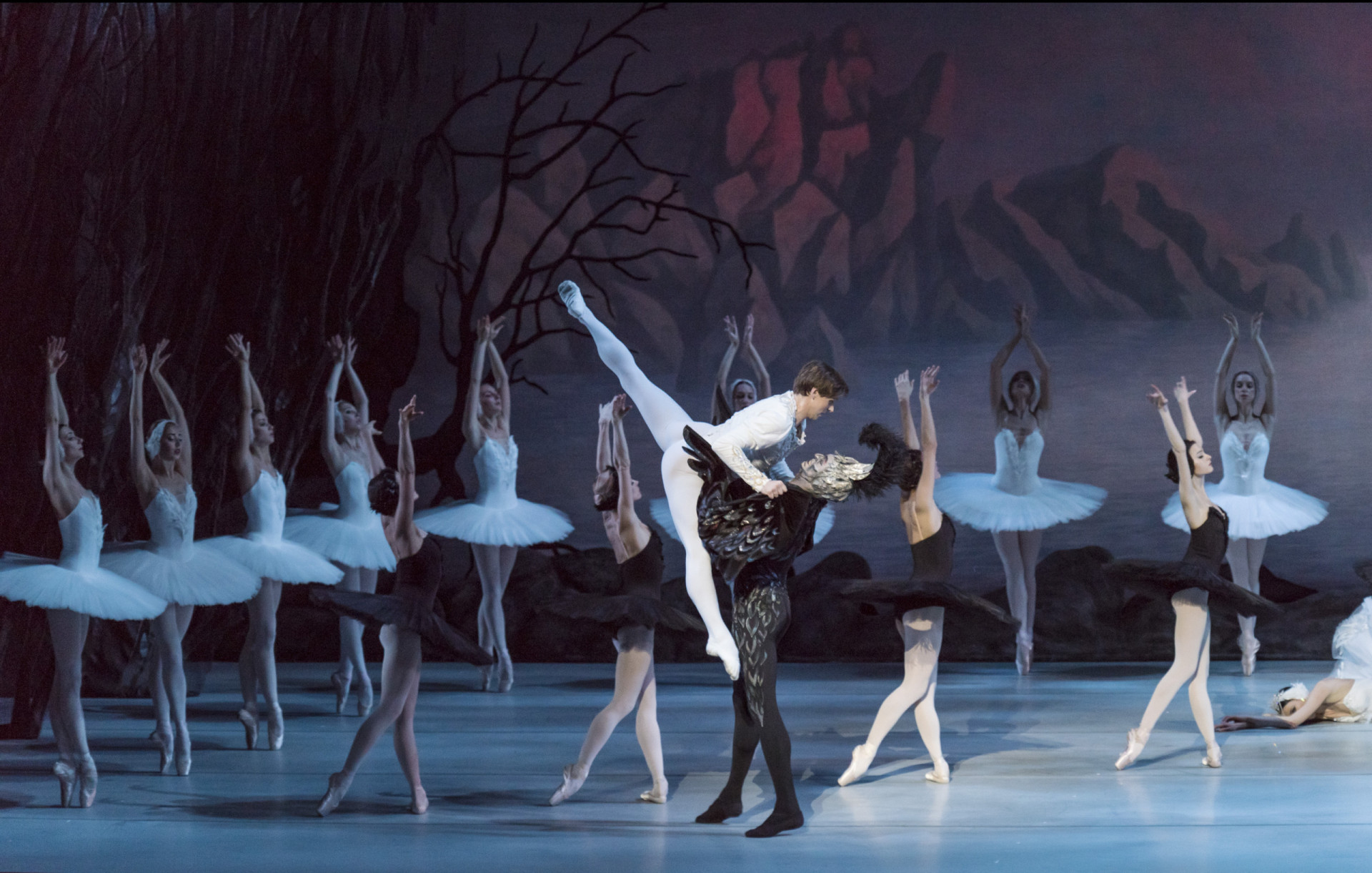 Traditional dances from around the world