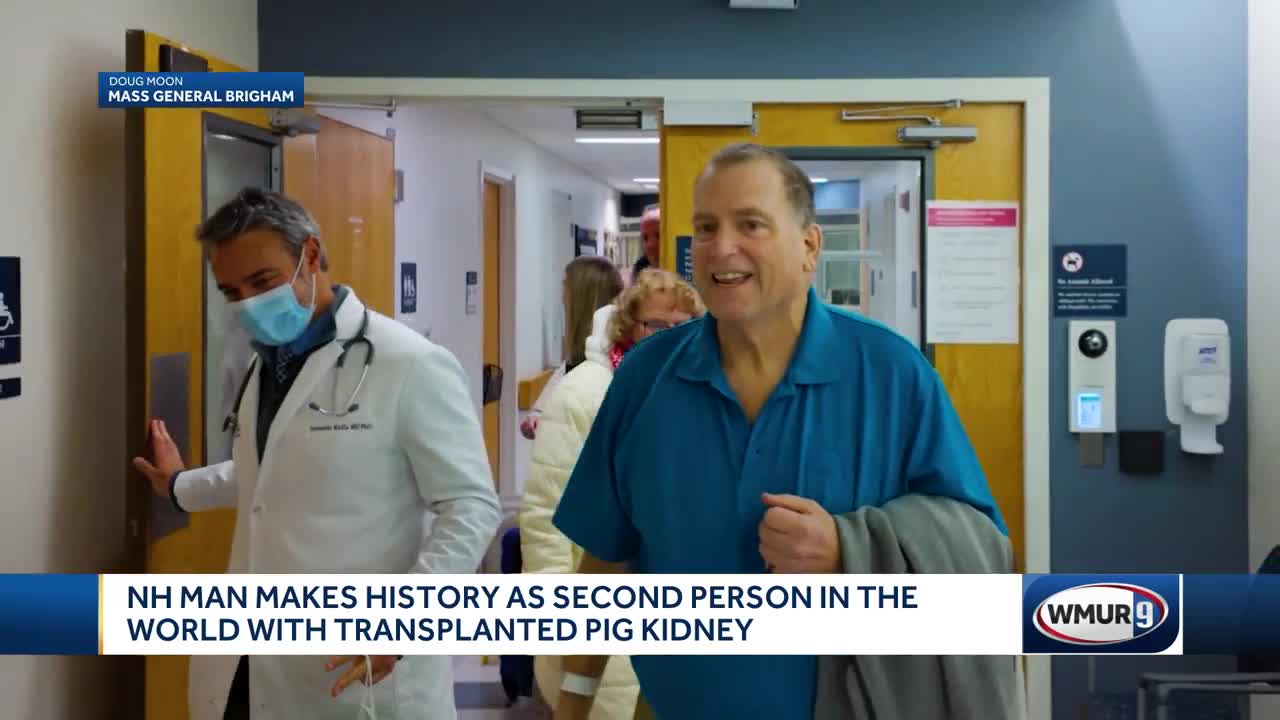 NH man makes history as 2nd person in world with transplanted pig kidney