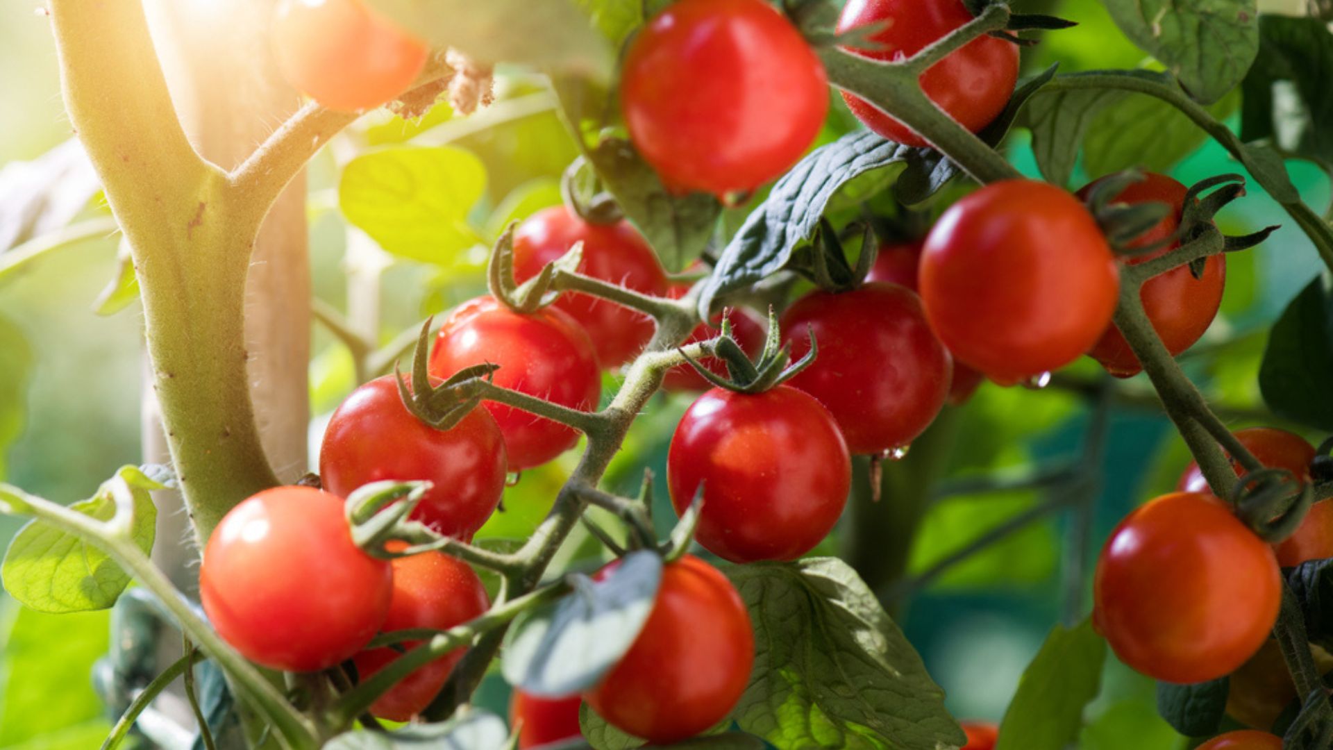 31 People Who Were Very Smug and Very Wrong