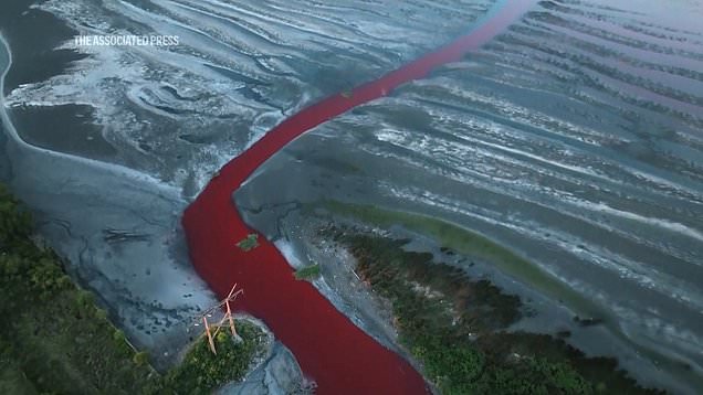 River turns red in Buenos Aires raising concerns over contamination