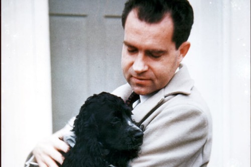 12 Strange but True Moments When Animals Changed U.S. History