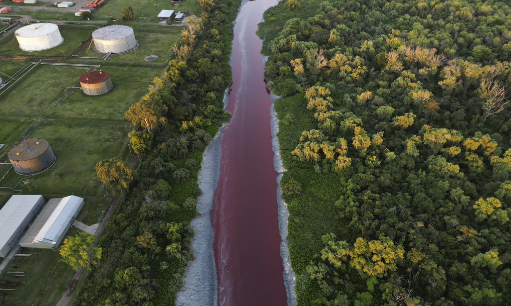 ‘It looks like a stream of blood.’ A river near Buenos Aires turns red ...