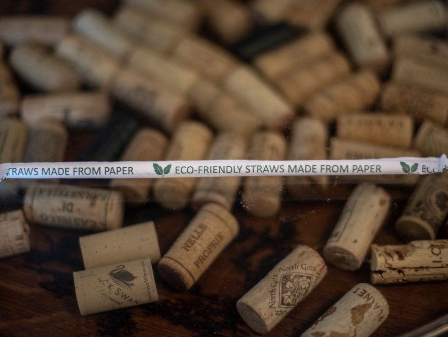 'BACK TO PLASTIC!': Trump pushes for plastic straws as he declares ...