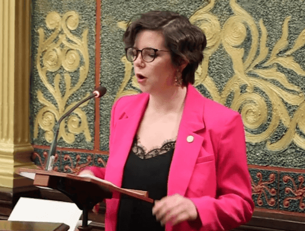 Michigan Rep. Laurie Pohutsky Announces Sterilization In Protest ...