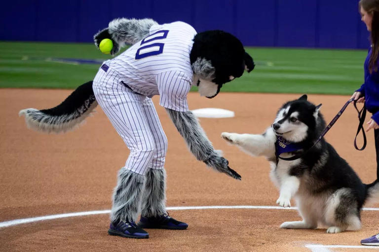 Washington softball drops season opener to No. 11 Alabama 5-1