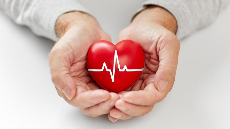 'Go Red for Women': Advocating for heart health through a American ...