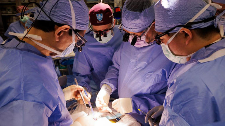 The first 'across the bridge': Man who received experimental pig kidney ...