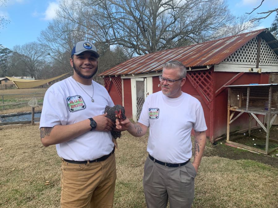 Don’t put all your eggs in the homesteading basket just to save money