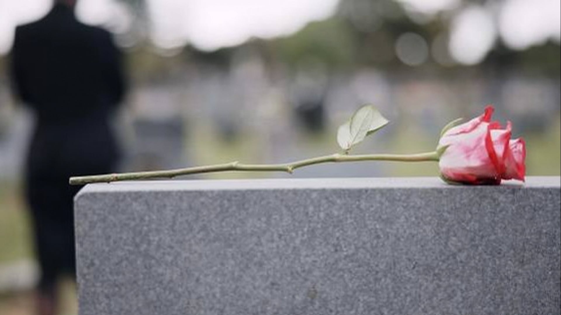 Young Adults Are Experiencing Higher-Than-Expected Death Rates
