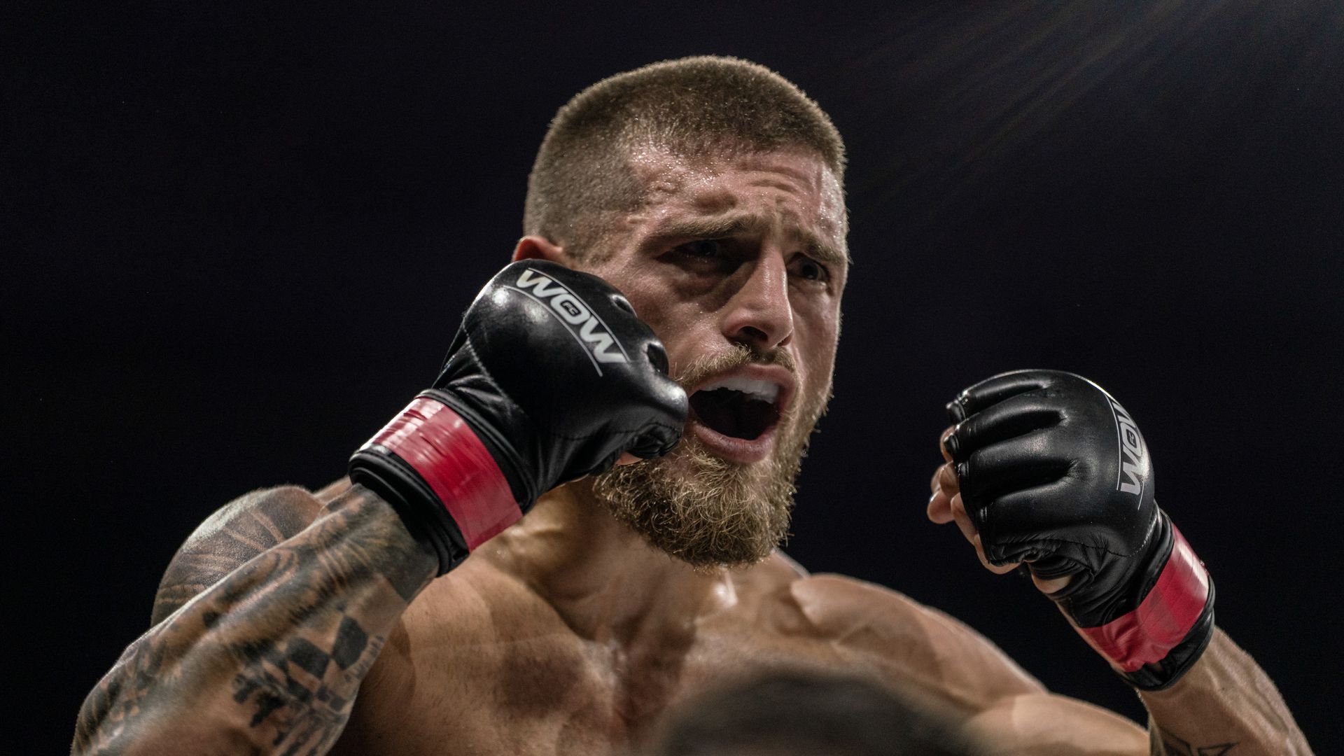 Aleksandre Topuria feels ‘no pressure’ with Ilia Topuria vs. Alexander ...