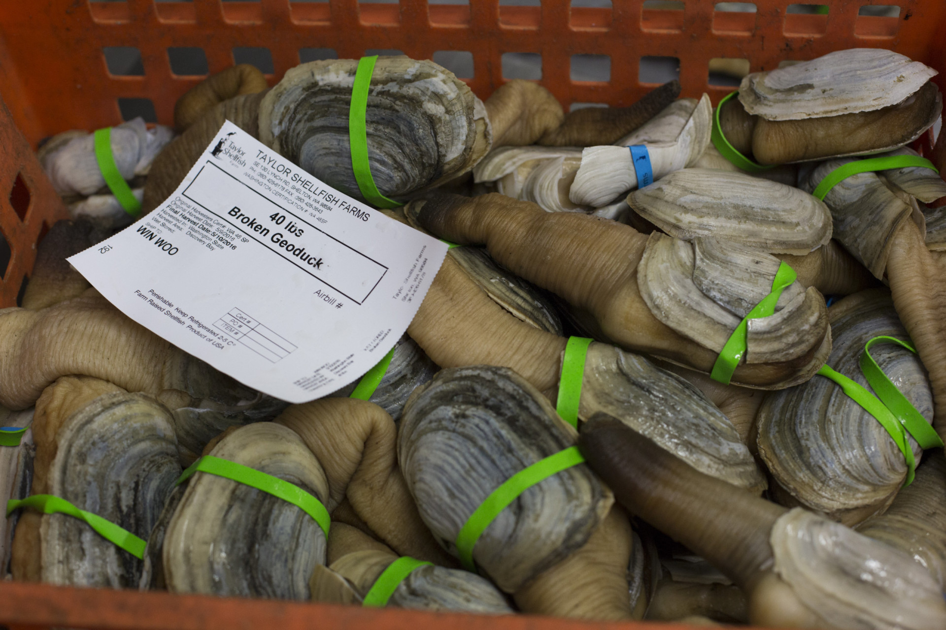 Foods with hilariously deceptive names