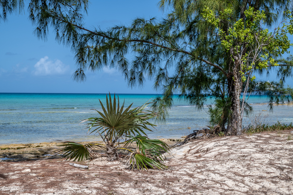 The Caribbean Island Split Between Two Countries