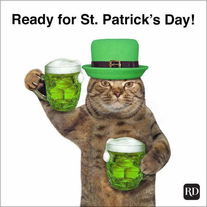 39 St. Patrick’s Day Memes That Shamrock