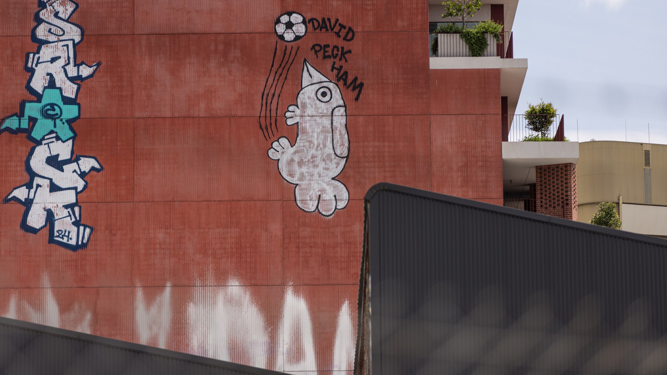 After soaring over Melbourne, has 'Pam the Bird' been grounded?