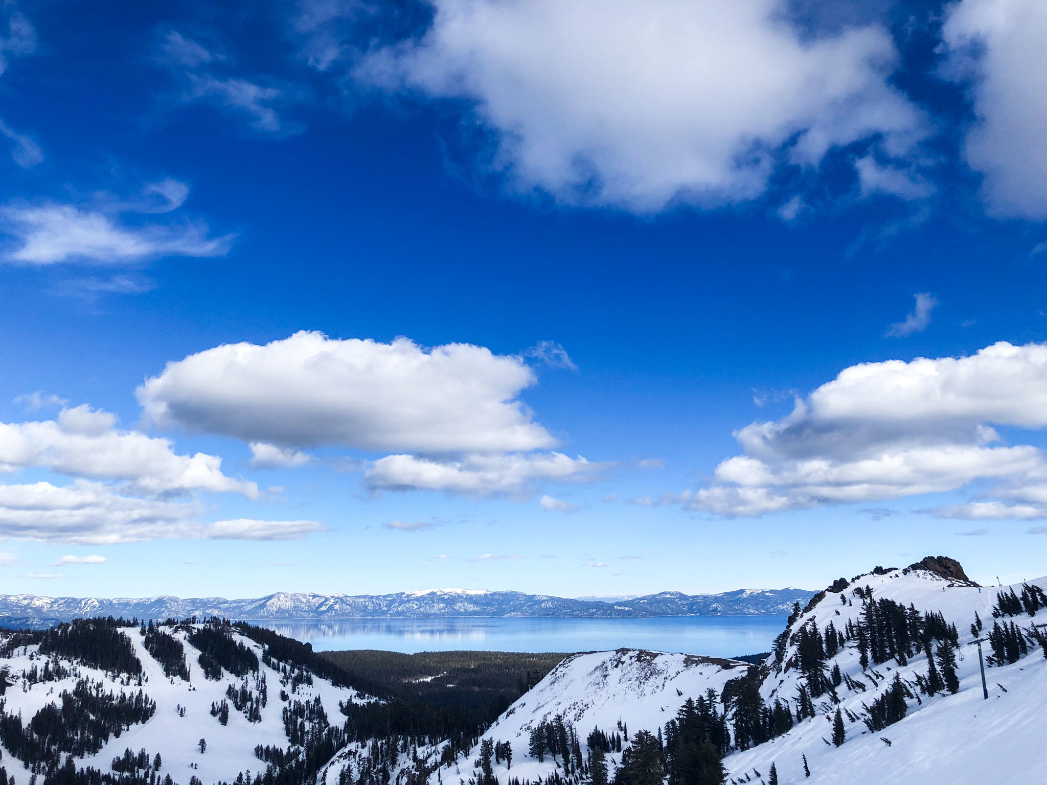 62-year-old man dies after crashing into tree at Tahoe ski resort 62-year-old man dies after crashing into tree at Tahoe ski resort
