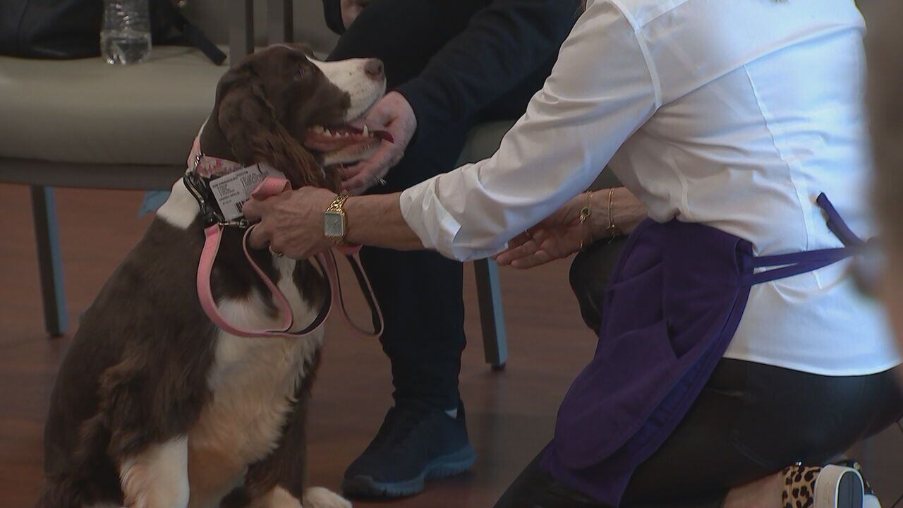 Therapy dog brings joy to medical center patients, staff
