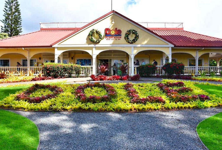 Over 30 of the Best Things to do in Oahu with Kids on a Family Vacation