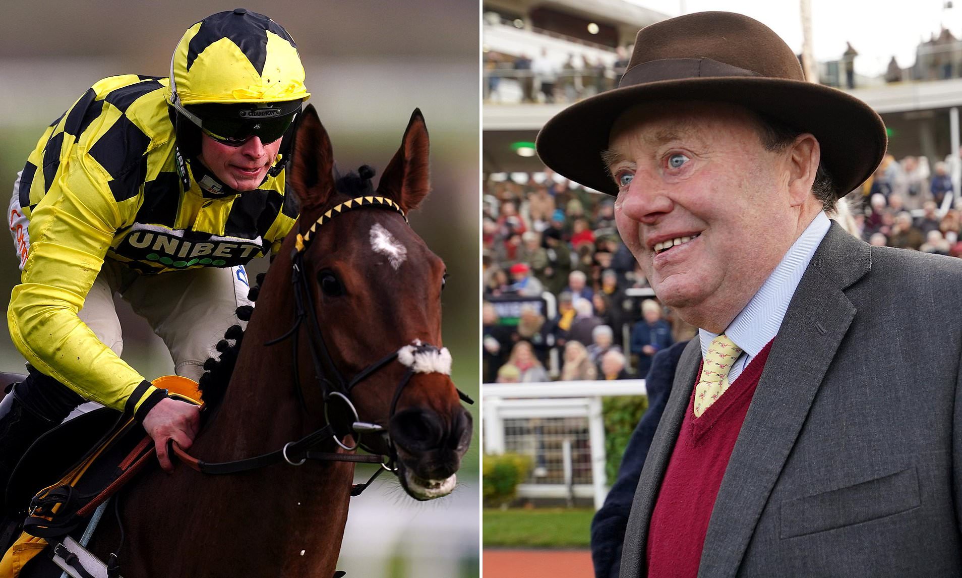 Nicky Henderson working on Sir Gino plan after novice was denied chance ...