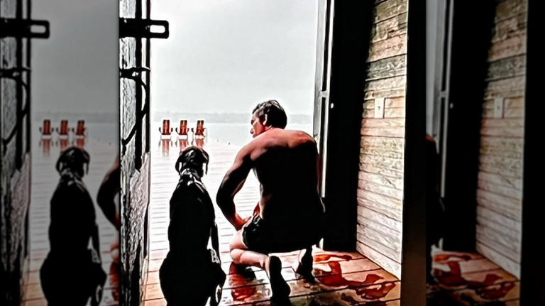 ABC's David Muir Showed Off His Ripped Body In The Most Low-Key Way