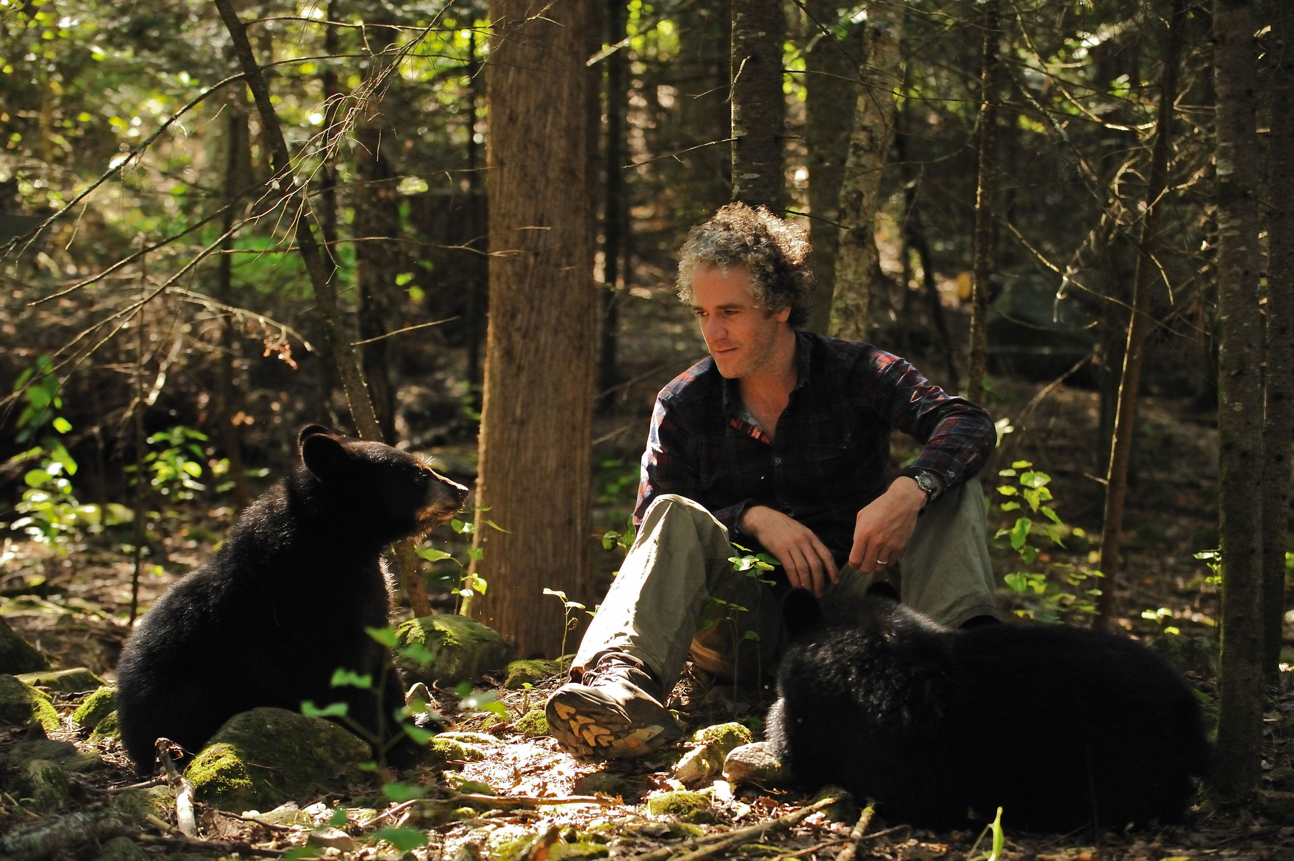 Wildlife filmmaker and cameraman Gordon Buchanan comes out of the hide ...