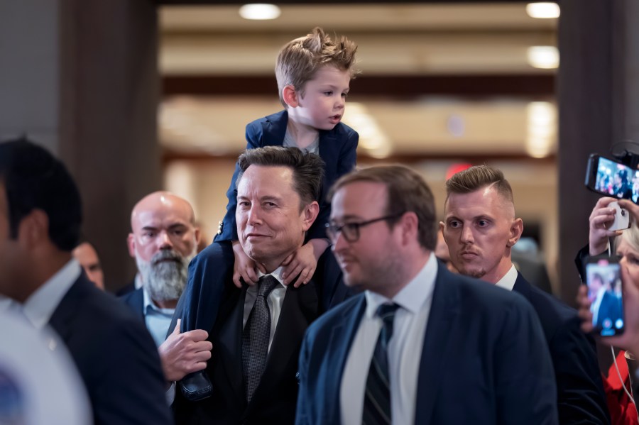 Who is part of DOGE leader Elon Musk’s family?