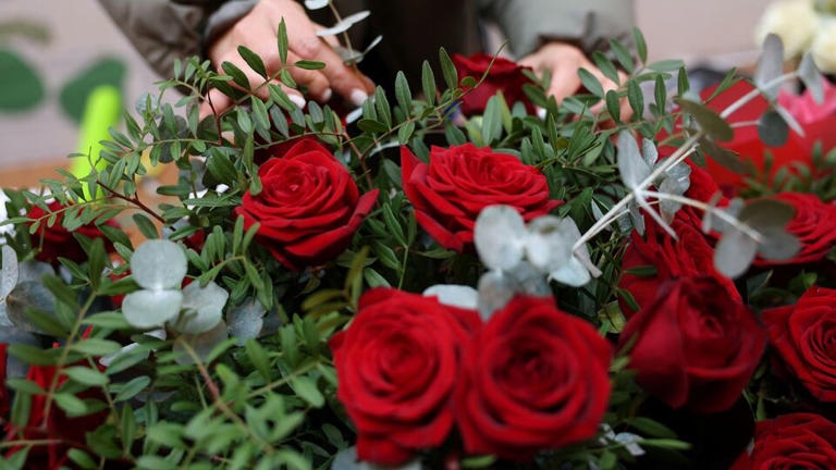 Happy Propose Day 2025: 30+ wishes, GIFs, Facebook and WhatsApp ...