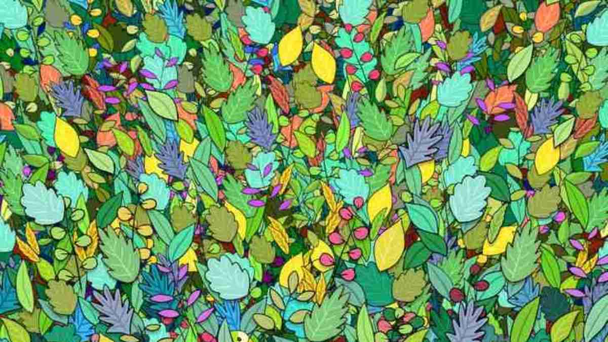 Optical Illusion IQ Test: If You Can Spot the Parrot In 5 Seconds, You ...