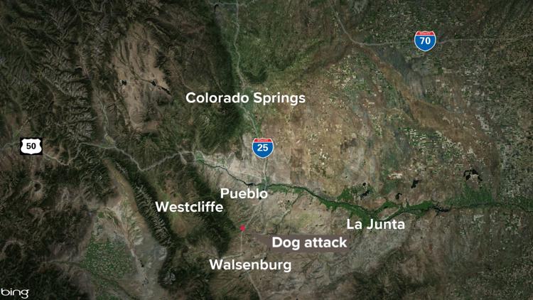 Colorado woman arrested after dogs fatally attack her mother