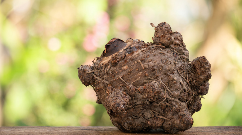 The Asian Root Vegetable Behind Plant-Based Shrimp