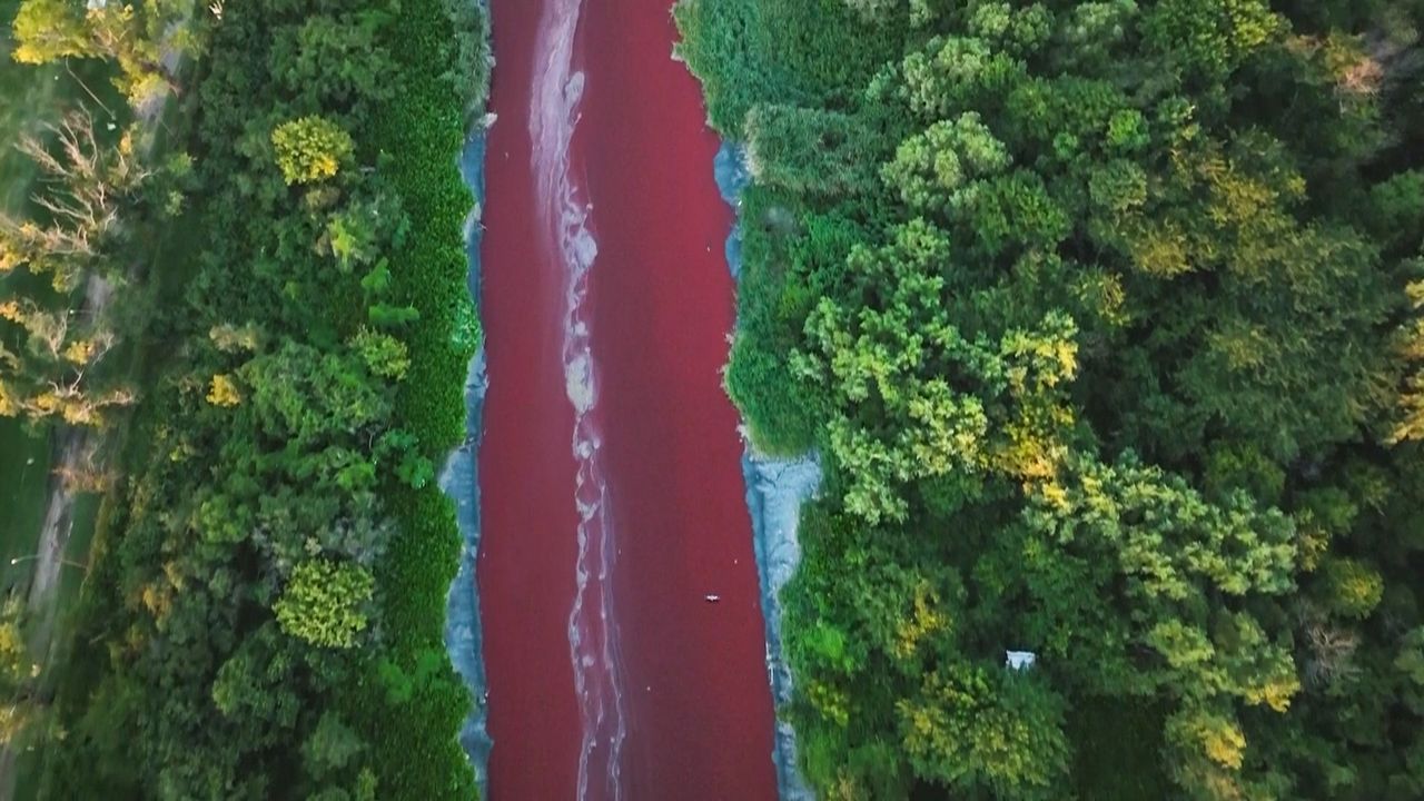 Residents alarmed after canal turns eerie bright red colour in Argentina