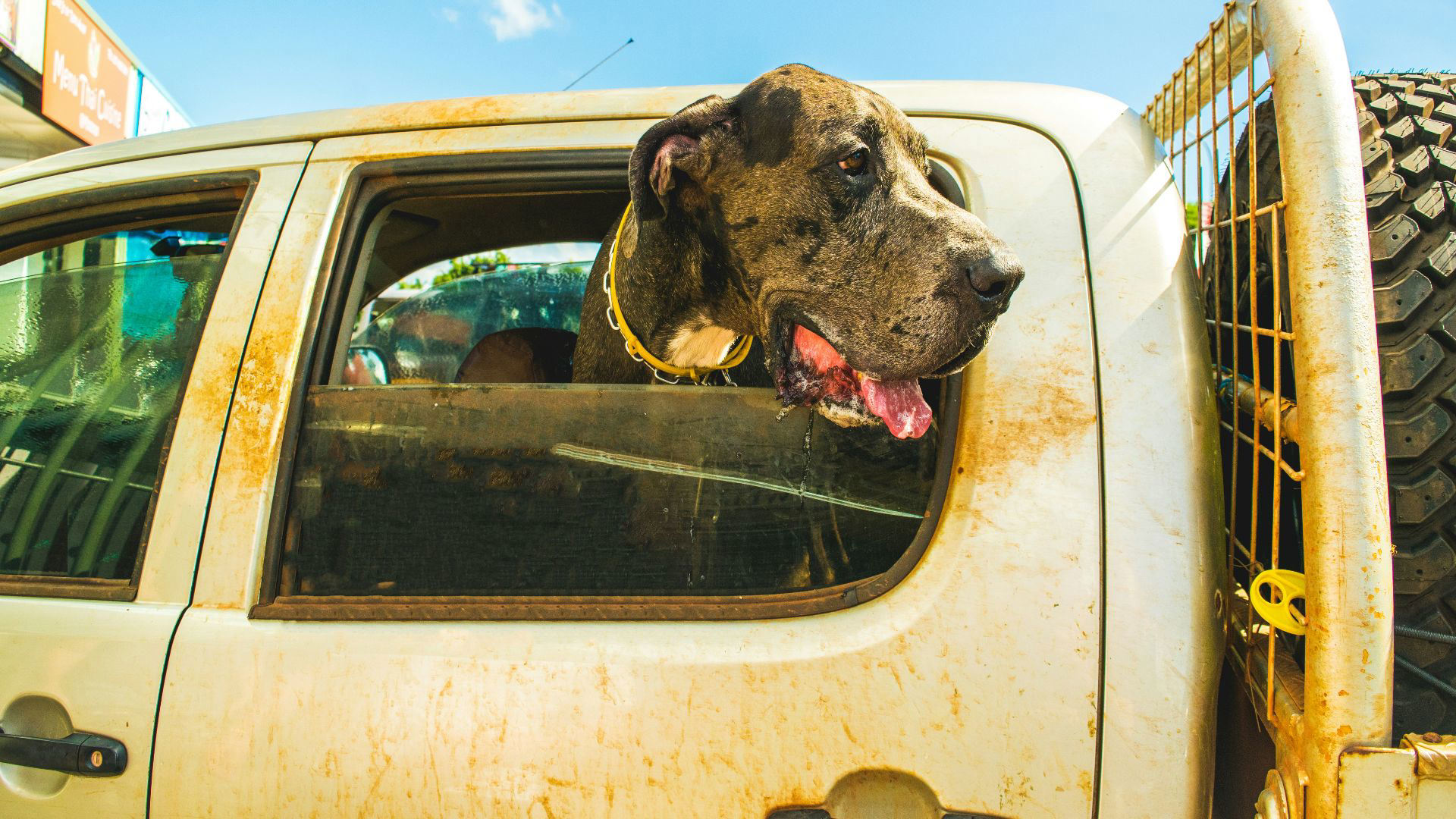 What's That Smell? 20 Easy Ways To Keep Your Car Smelling Fresh What's That Smell? 20 Easy Ways To Keep Your Car Smelling Fresh