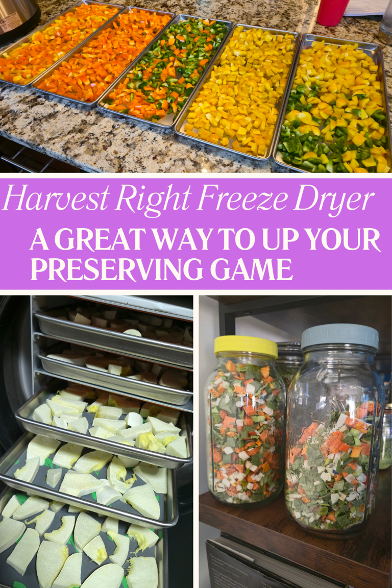 Harvest Right Freeze Dryer: A Great Way to Up Your Preserving Game