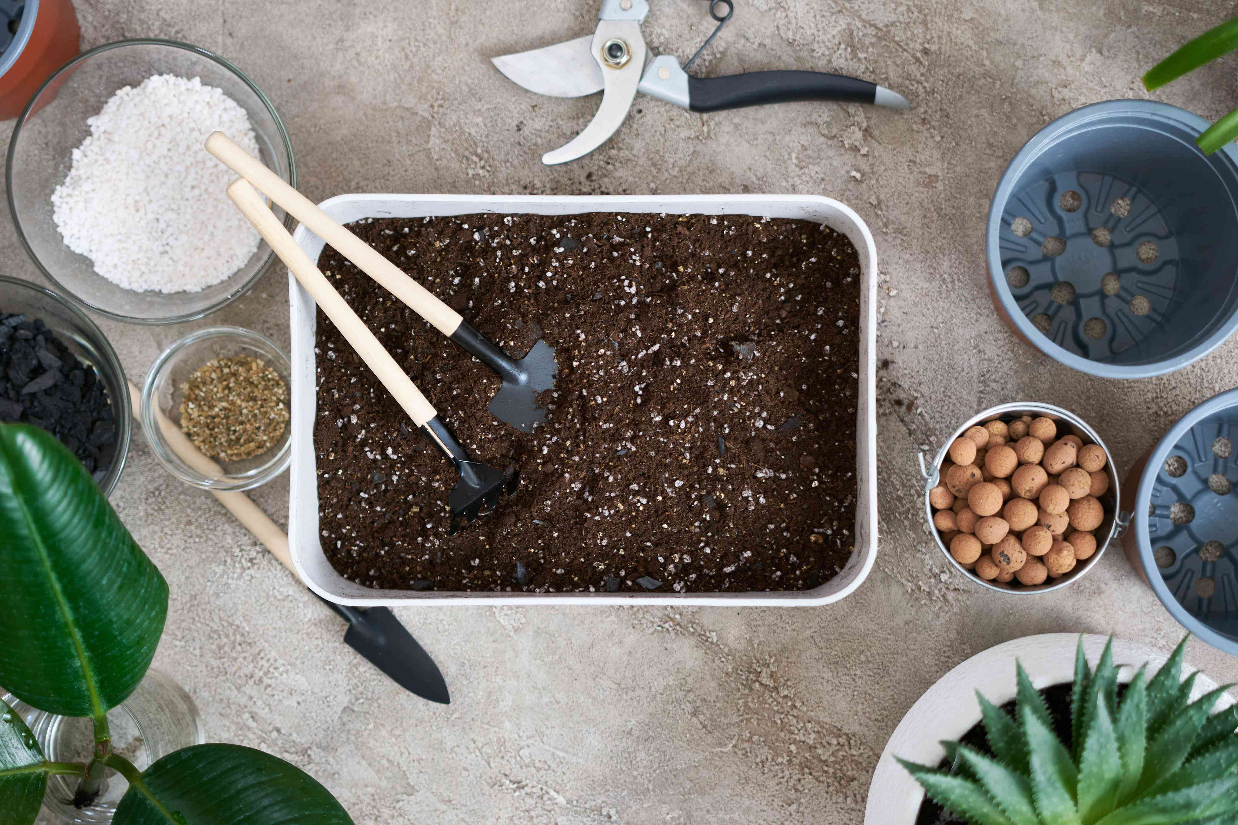 Perlite Is the Secret to Improving Soil Drainage—Here's How to Use It ...