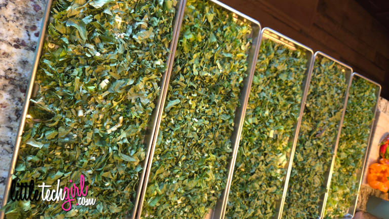 Harvest Right Freeze Dryer: A Great Way to Up Your Preserving Game