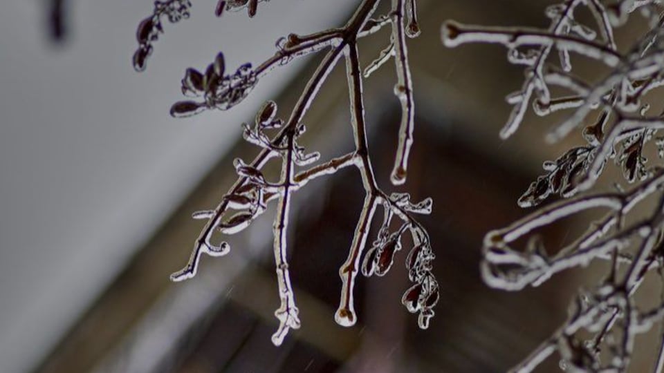 Rain and snow with freezing rain possible to Start the weekend (2/7/25)