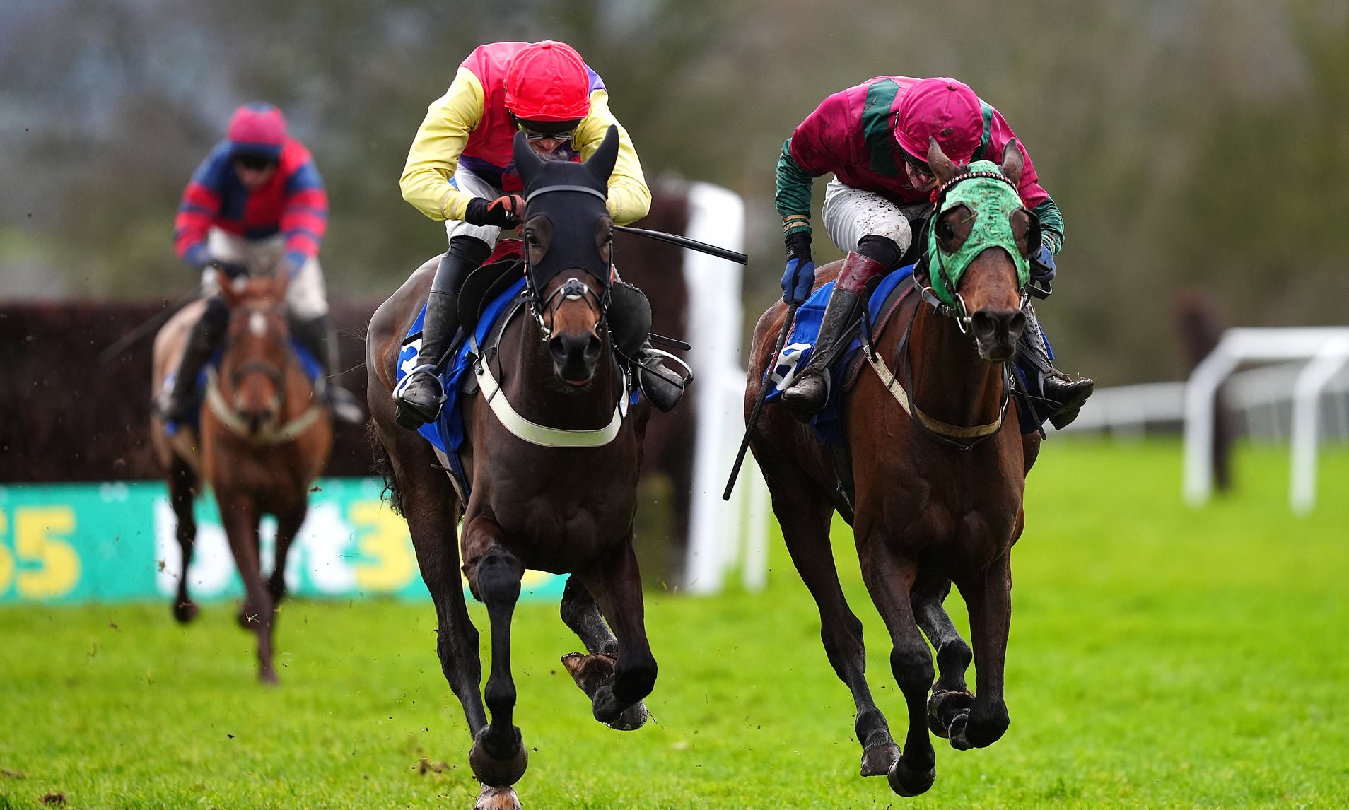 Robin Goodfellow's racing tips: Best bets for Tuesday, February 25