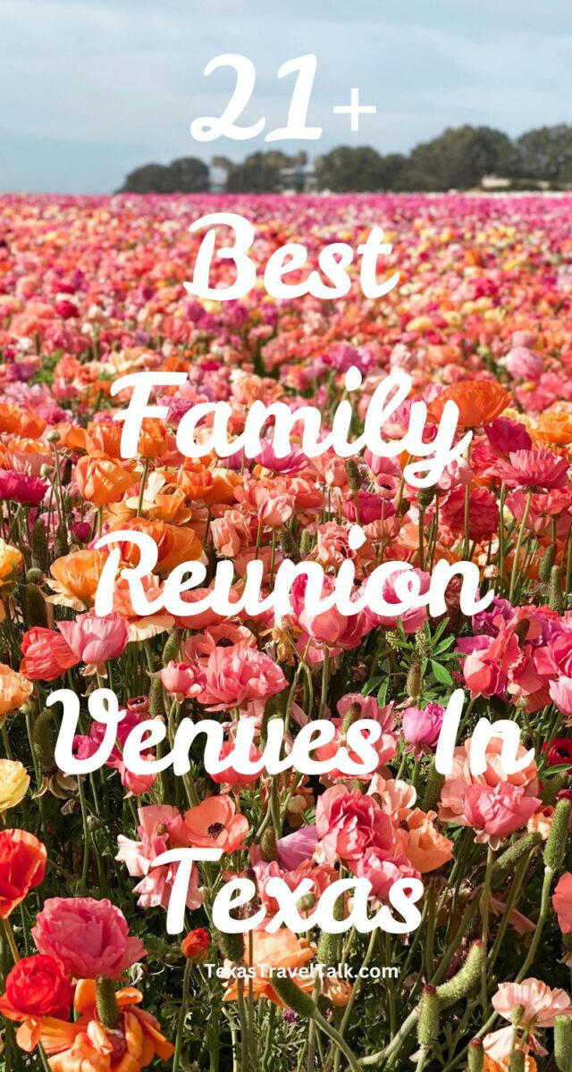 23 Best Family Reunion Venues In Texas