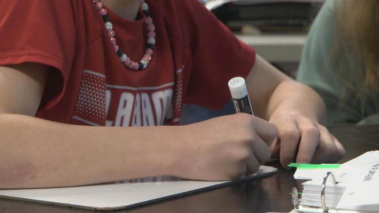 One Colbert County elementary school receives top rank for state ACAP ...