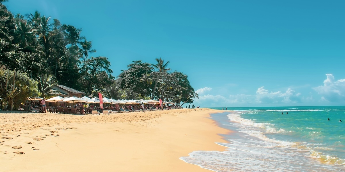 Generation Z – favoritresmålen i vinter