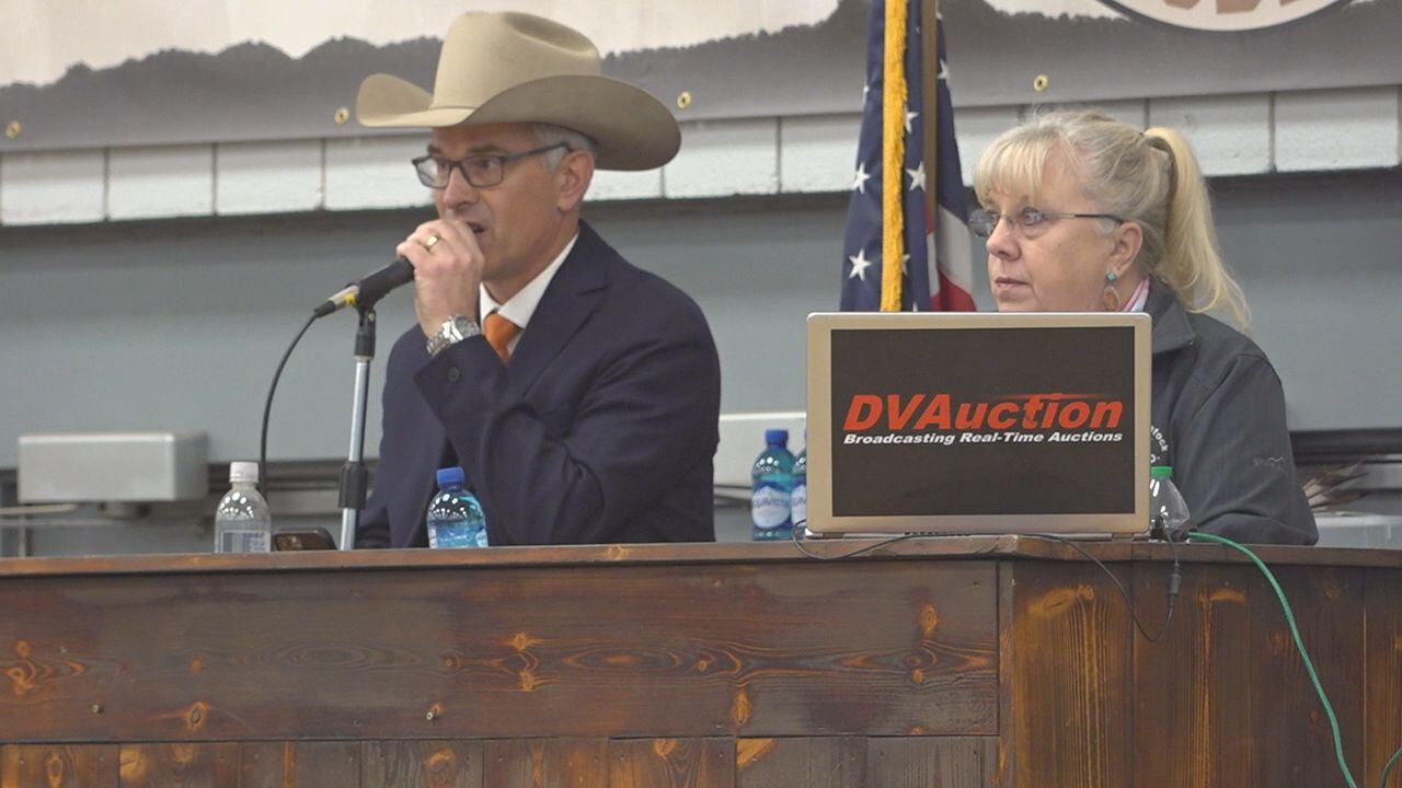 The signature auction chant: Stock Show and Rodeo auctioneer shares ...