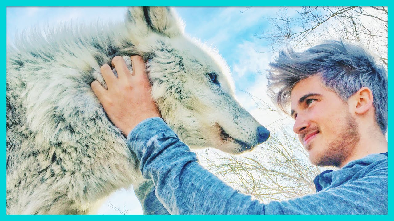 Joey Graceffa Plays With a Real-Life Wolf