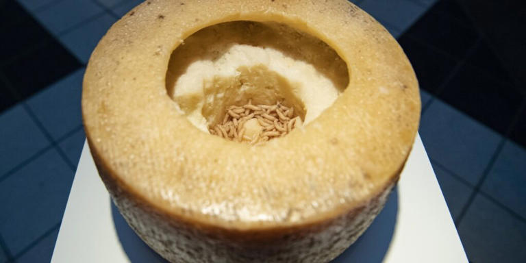 Ostbricka med en twist – vågar du prova världens farligaste ost?