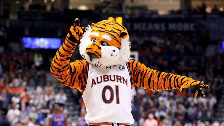 Your College Basketball Saturday Viewing Guide: 2/8/25