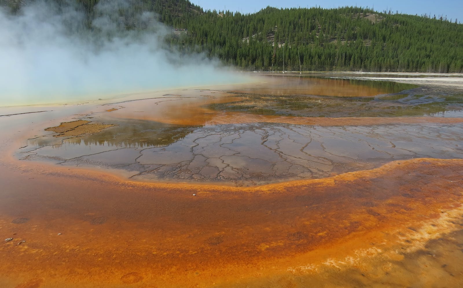 The Fascinating World of Extremophiles: Microbes That Thrive in Extreme ...