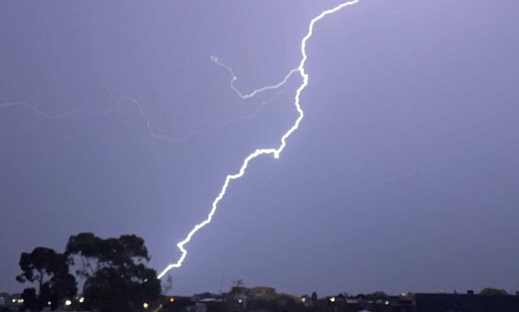 Woman dies after freak lightning strike explodes tree in her backyard