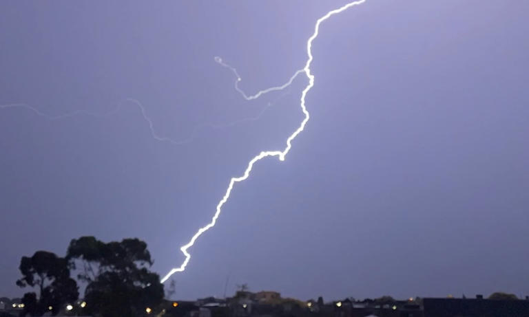 Woman dies after freak lightning strike explodes tree in her backyard